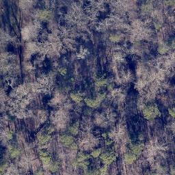 Alamance County, North Carolina GIS